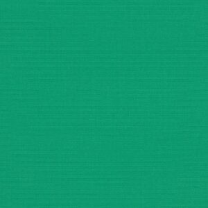 Marine Grade Sunbrella – Erin Green 60″ 6000-0000 - Kinder Industries